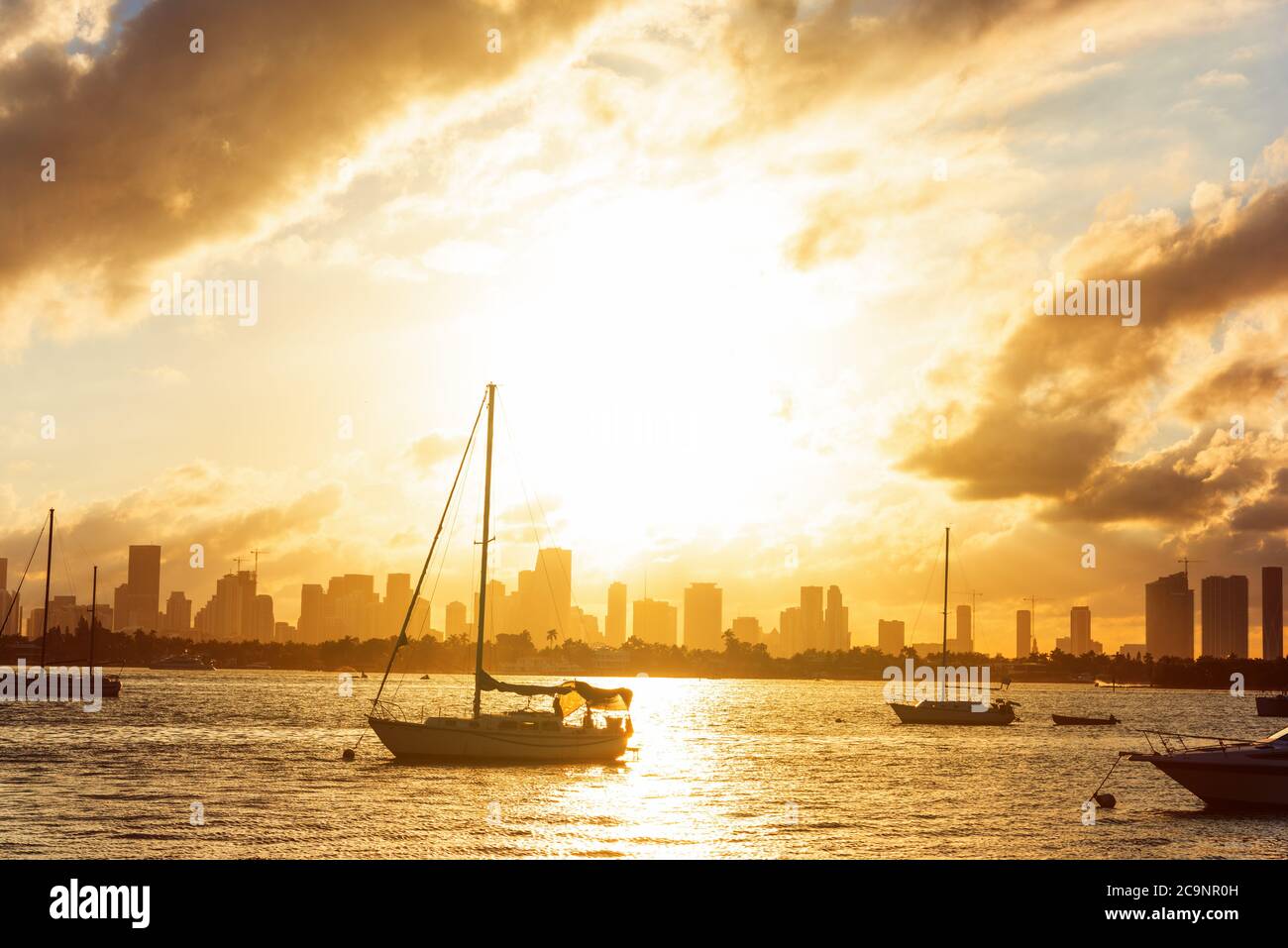 Bright city lights miami beach hi-res stock photography and images - Alamy