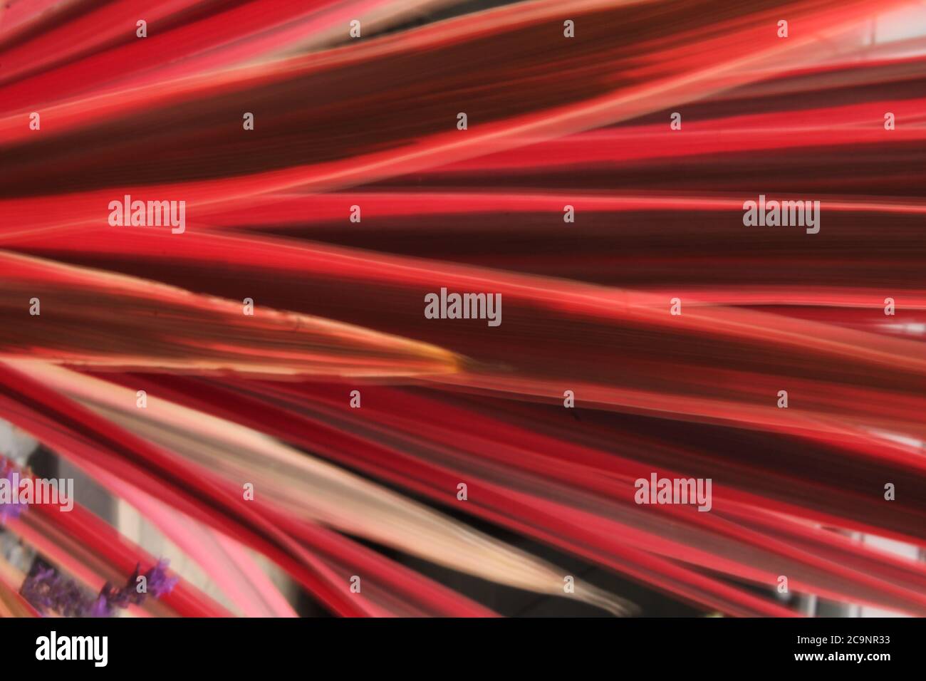 Shades of red hi-res stock photography and images - Alamy