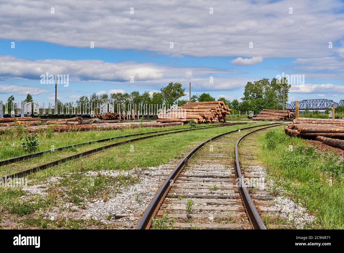 yard of a wood processing factory with logs, mountains of sawdust and ...