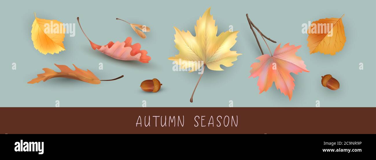 Season november Stock Vector Images - Alamy