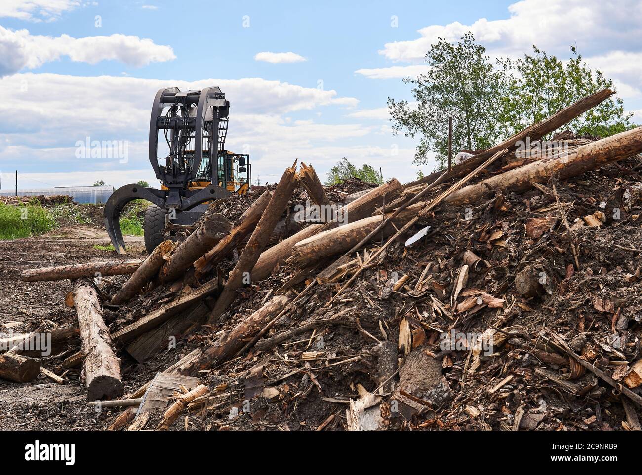 Pile of old logs hi-res stock photography and images - Alamy