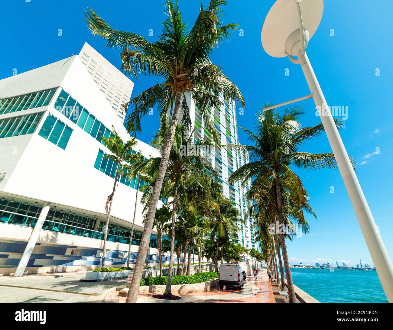 Skyscrapers and palm trees in beautiful Miami Riverwalk on a sunny day ...