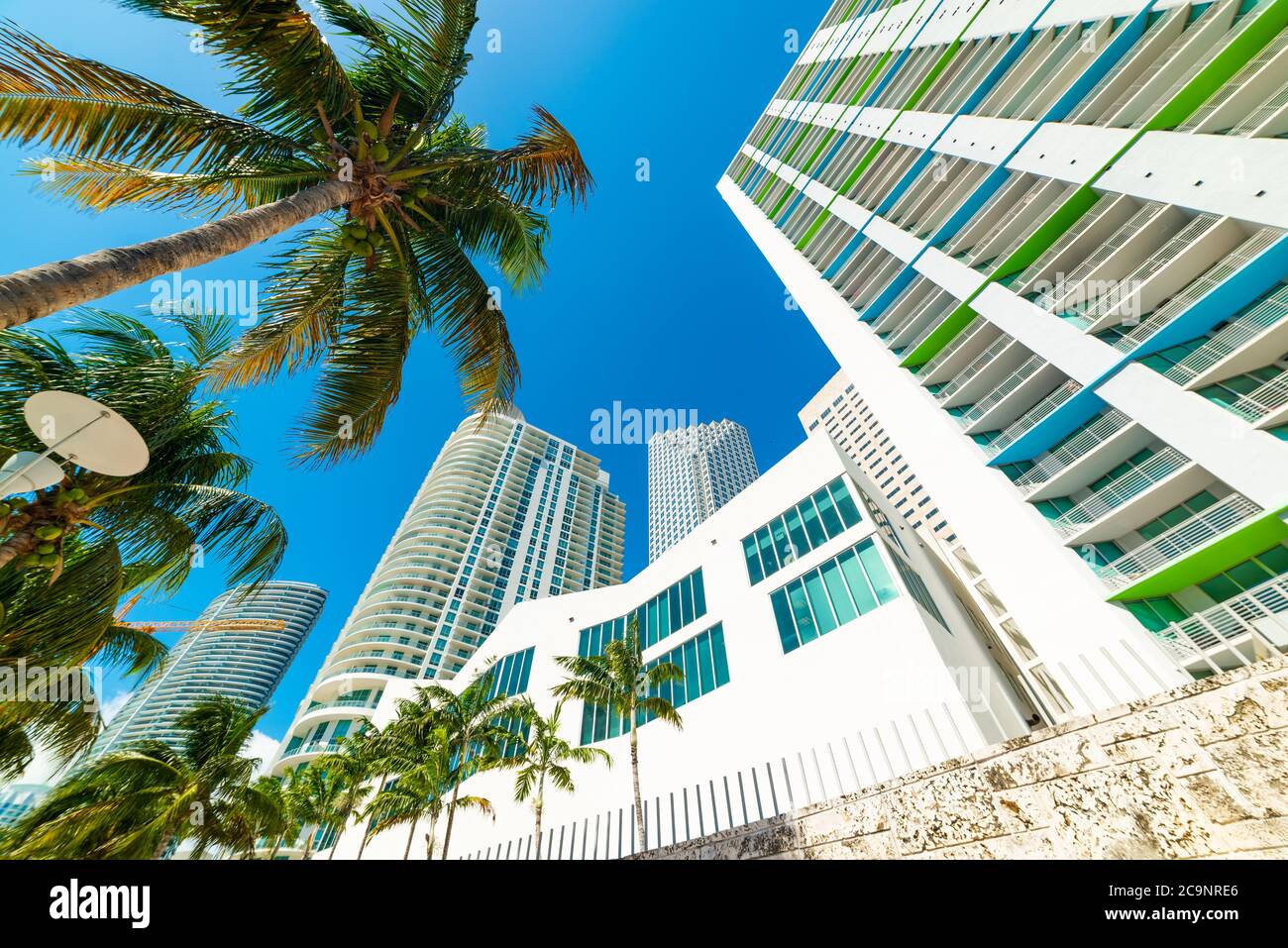 Skyscrapers and palm trees in beautiful downtown Miami, USA Stock Photo ...