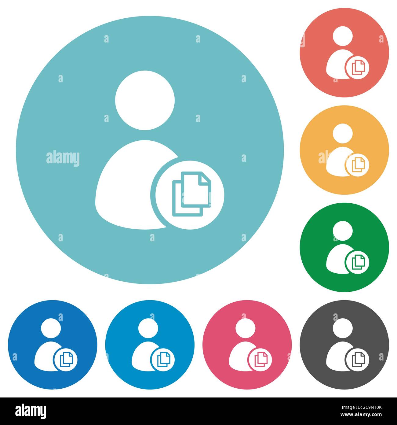 Copy user account flat white icons on round color backgrounds Stock ...