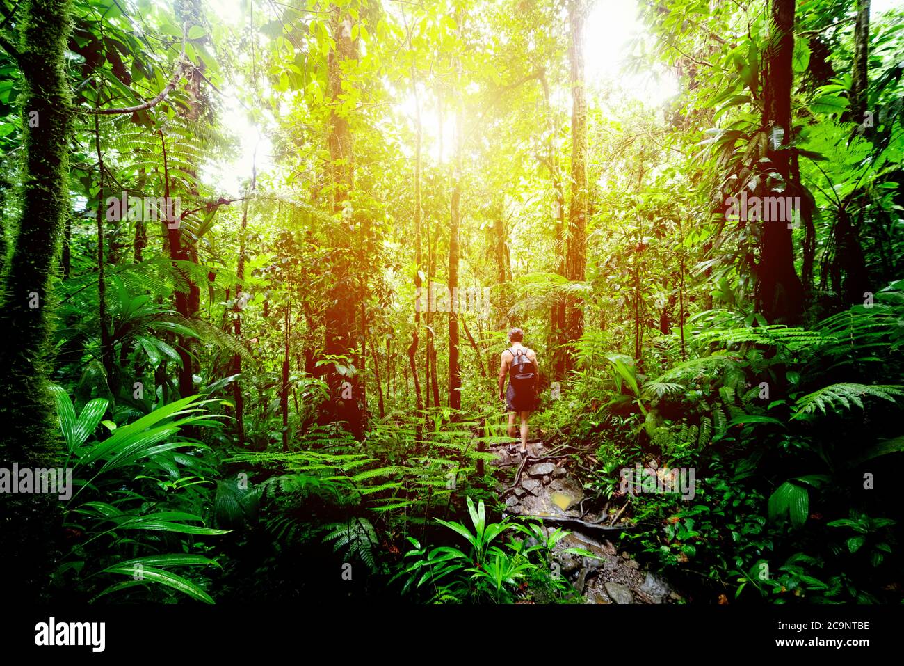 Man exploring Basse Terre's jungle in Guadeloupe, French west indies ...