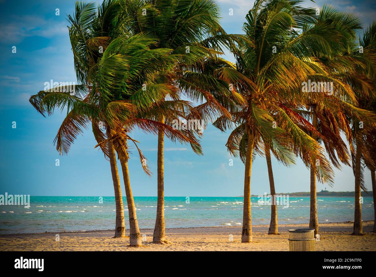 Miami sunset sun palms sea water hi-res stock photography and images ...