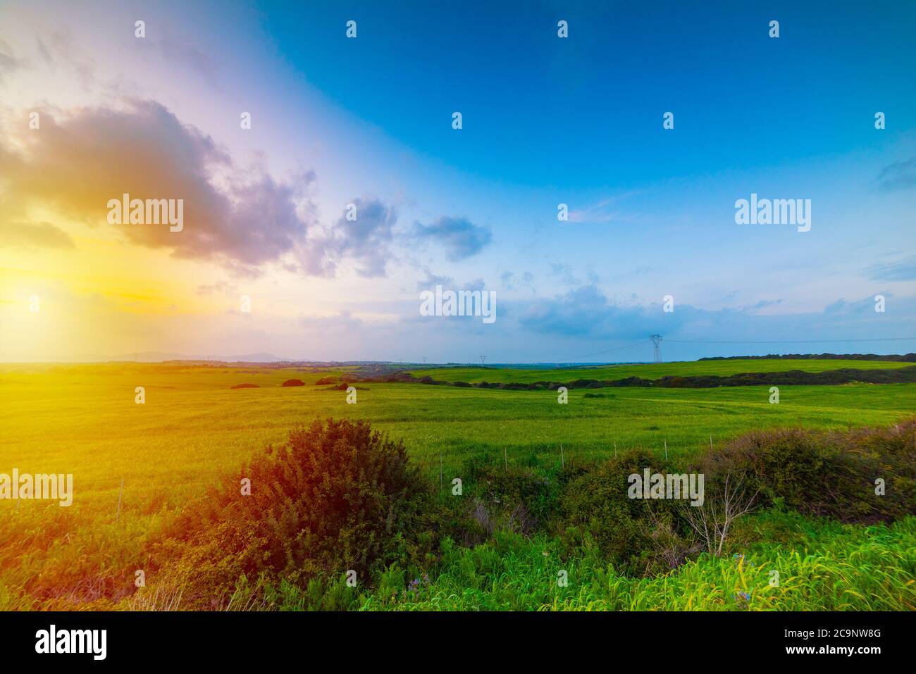 Sun shining over a green field at sunset. Sardinia, Italy Stock Photo ...