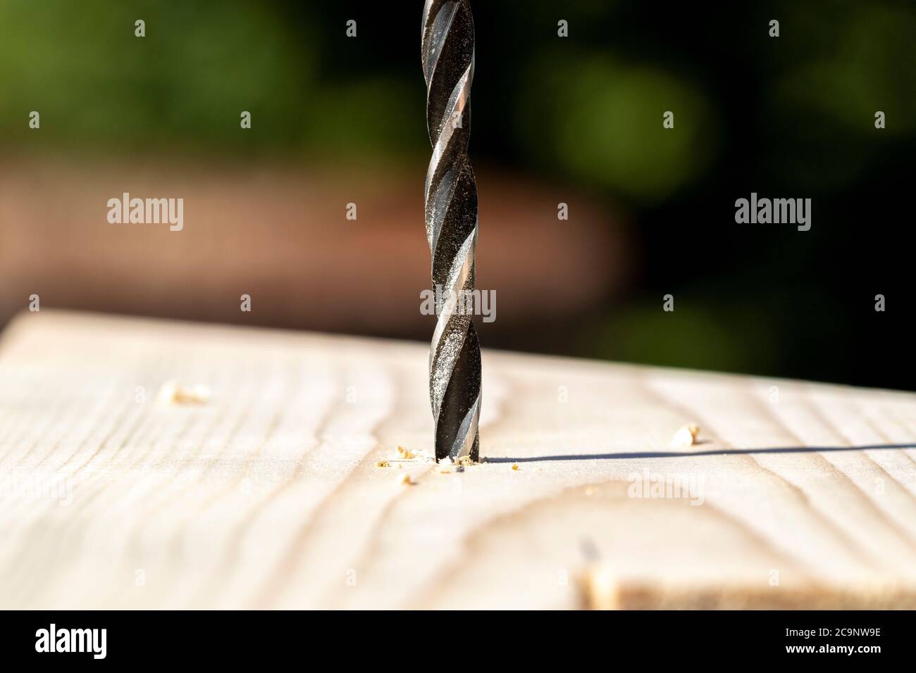 A closeup portrait of a wood drill bit drilling into a wooden plank ...
