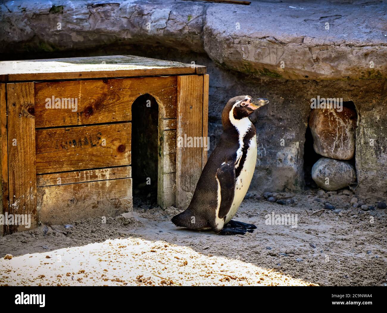 Animals at the Polish Zoo Stock Photo - Alamy