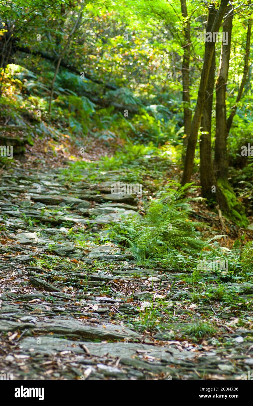 Off trail camping hi-res stock photography and images - Alamy
