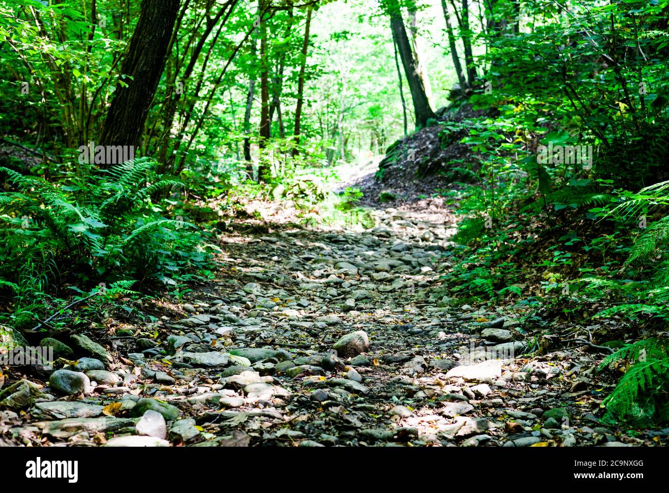 Trail towers trail hi-res stock photography and images - Alamy