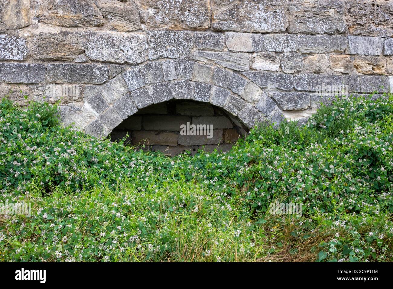 Overgrown wall of fortification hi-res stock photography and images - Alamy