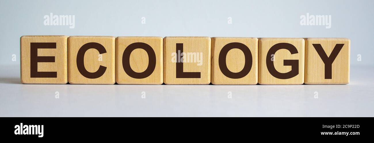 Ecology words concept on wooden blocks. White background Stock Photo ...