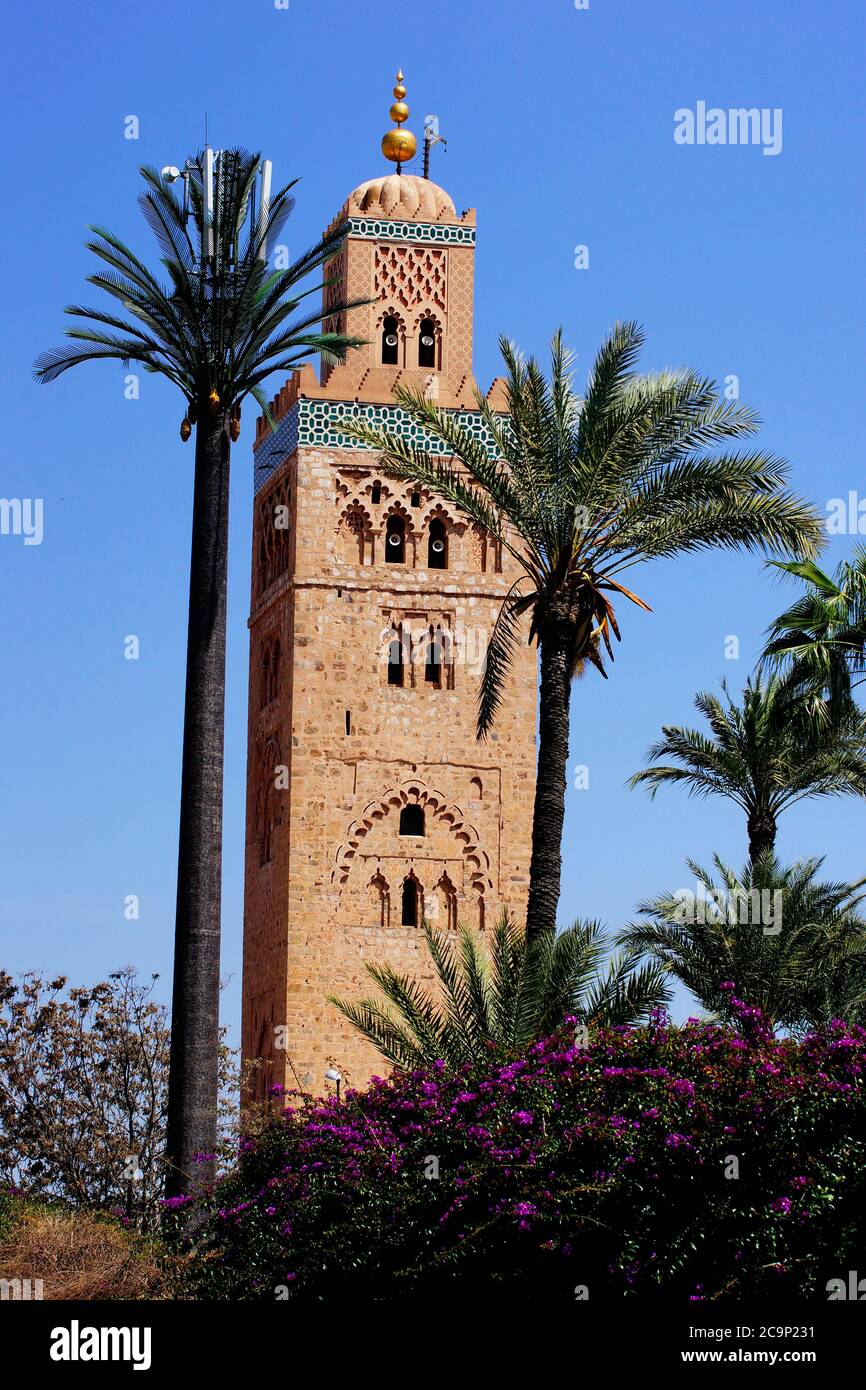 Mosque building with some palm trees in Marrakech Stock Photo - Alamy