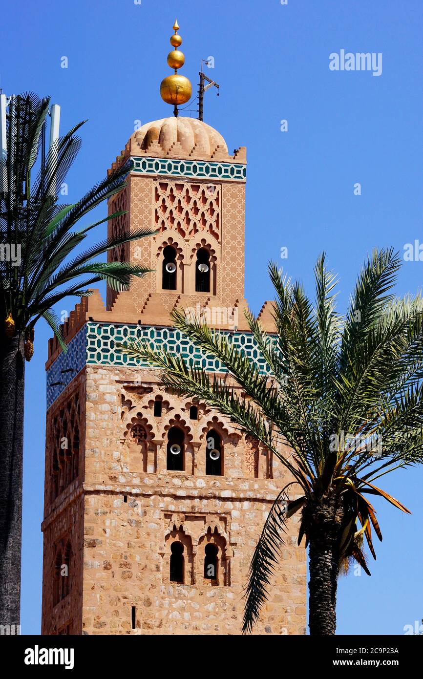 Mosque building with some palm trees in Marrakech Stock Photo - Alamy