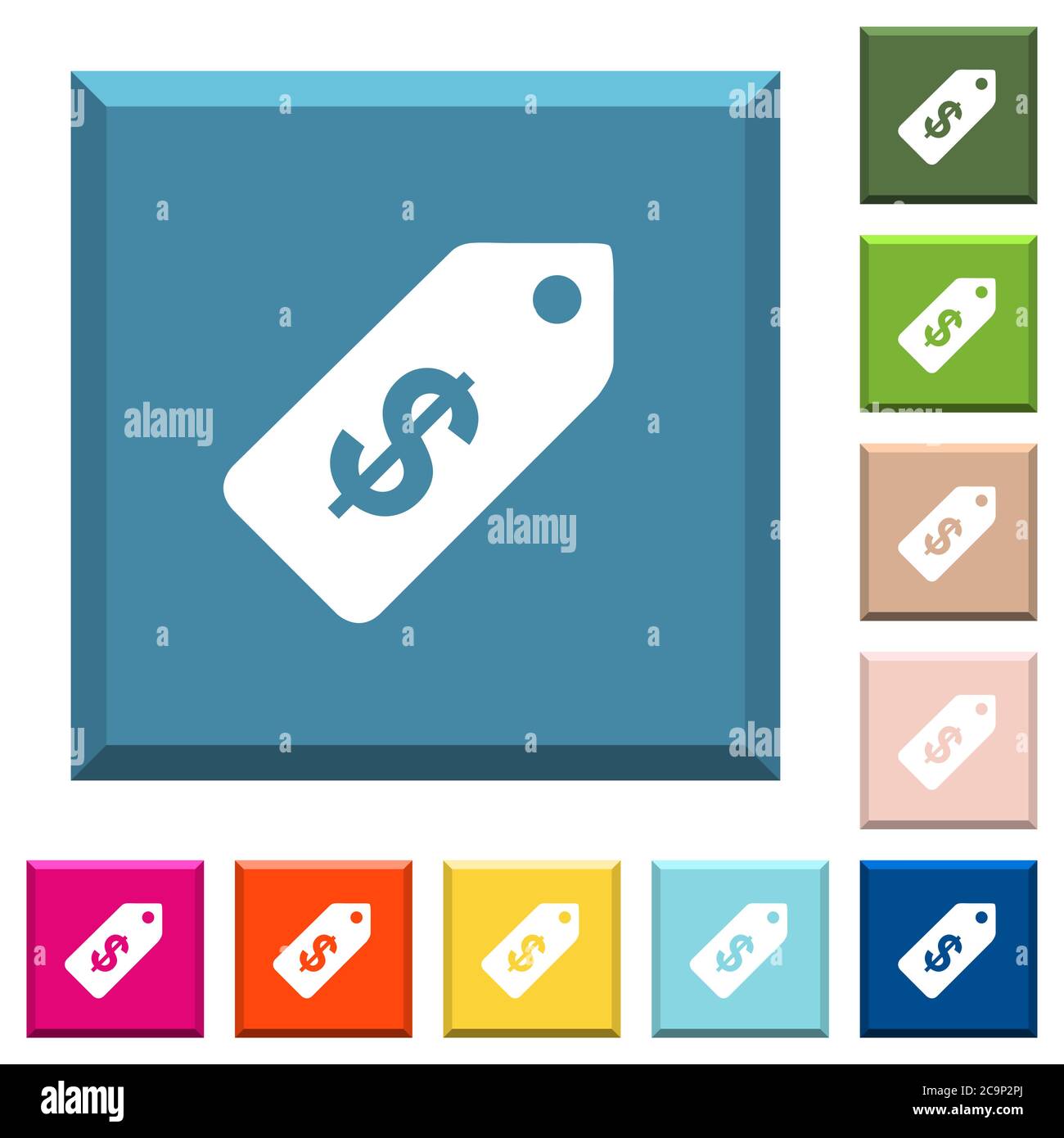 Dollar price label white icons on edged square buttons in various ...