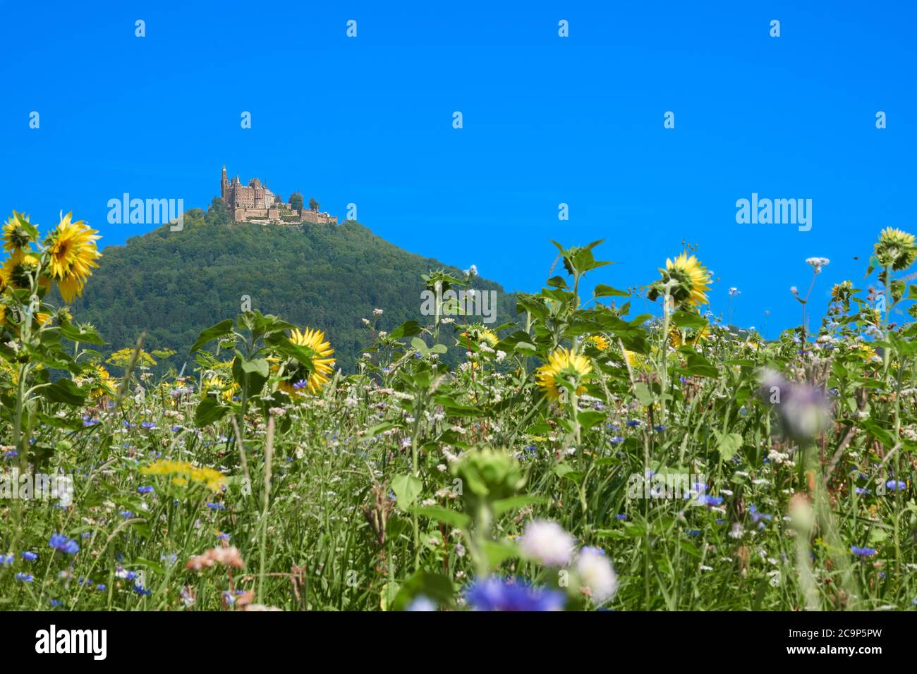 Zollern alb hi-res stock photography and images - Alamy