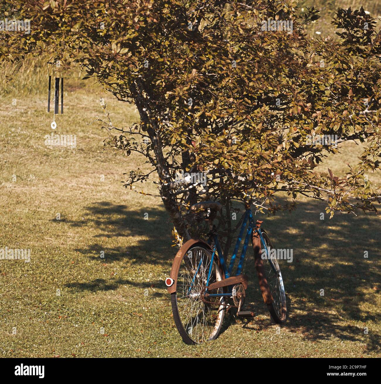 Bicycle leaning against tree hi-res stock photography and images - Alamy