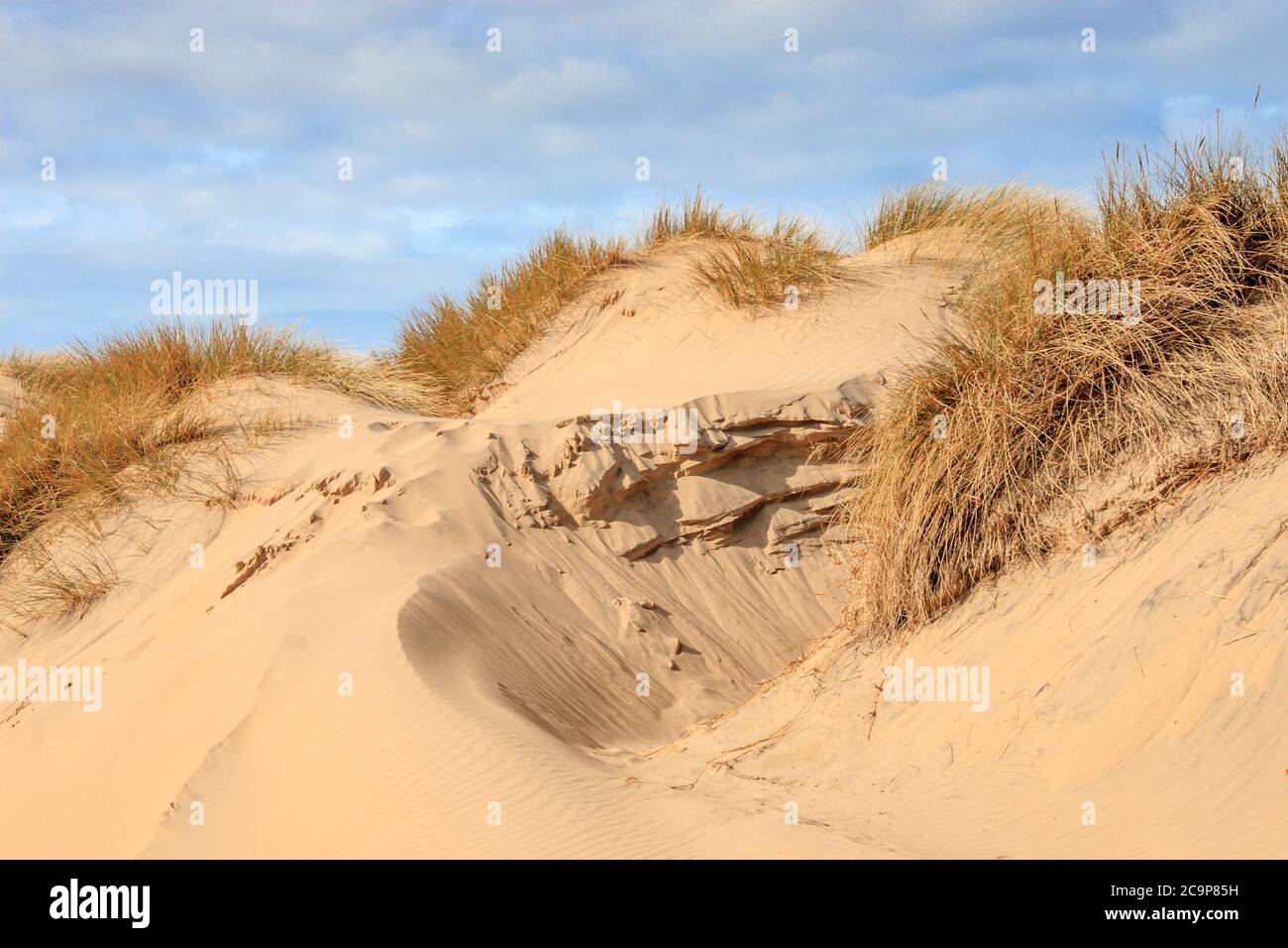 Formby Sand Dunes Stock Photo - Alamy