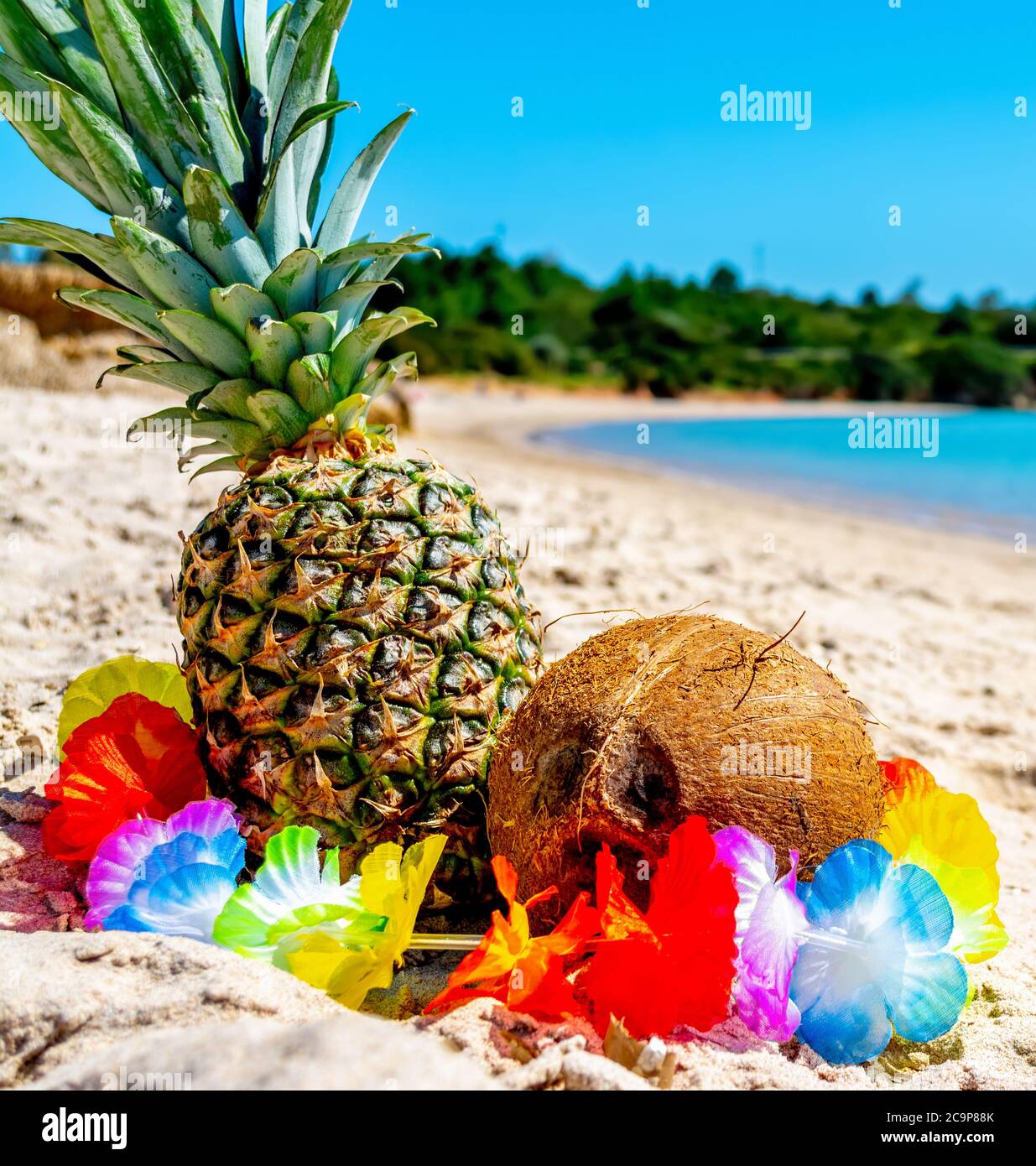 Exotic fuits hi-res stock photography and images - Alamy