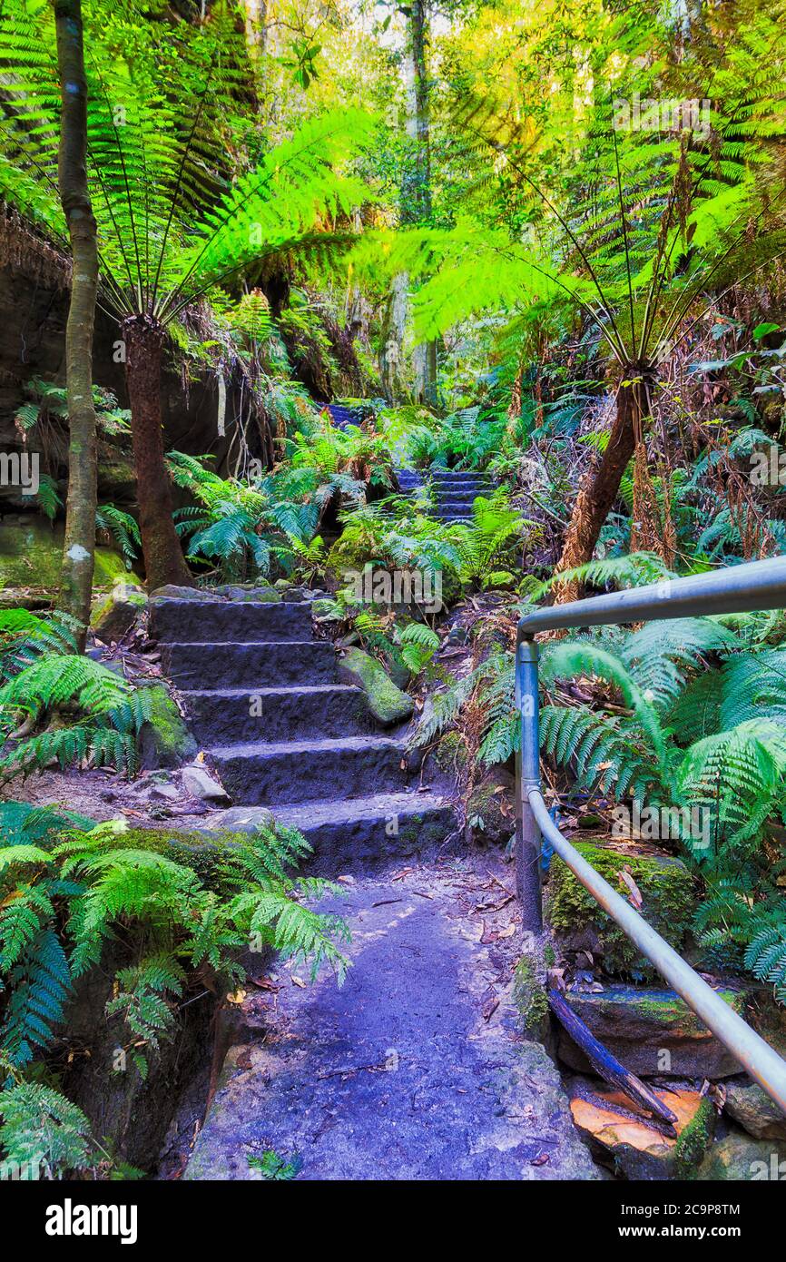Grand canyon track australia hi-res stock photography and images - Alamy
