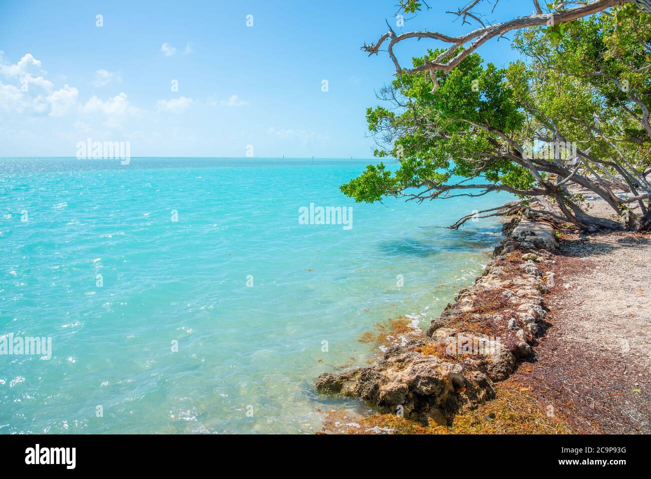 Turquoise sea in Florida Keys shore, USA Stock Photo - Alamy