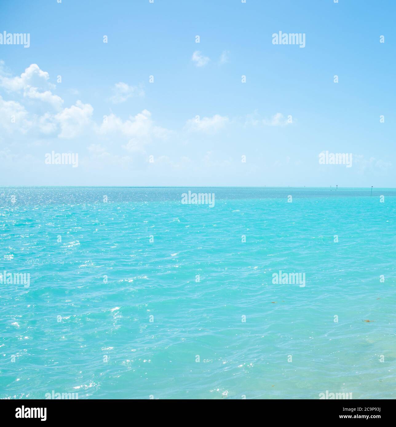 Turquoise sea and blue sky in Florida Keys shore, USA Stock Photo - Alamy