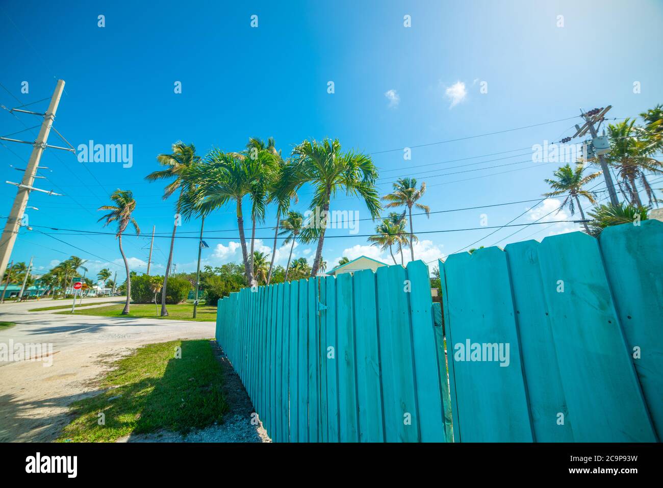 Wooden fence and palm trees in Florida Keys under a shining sun, USA ...