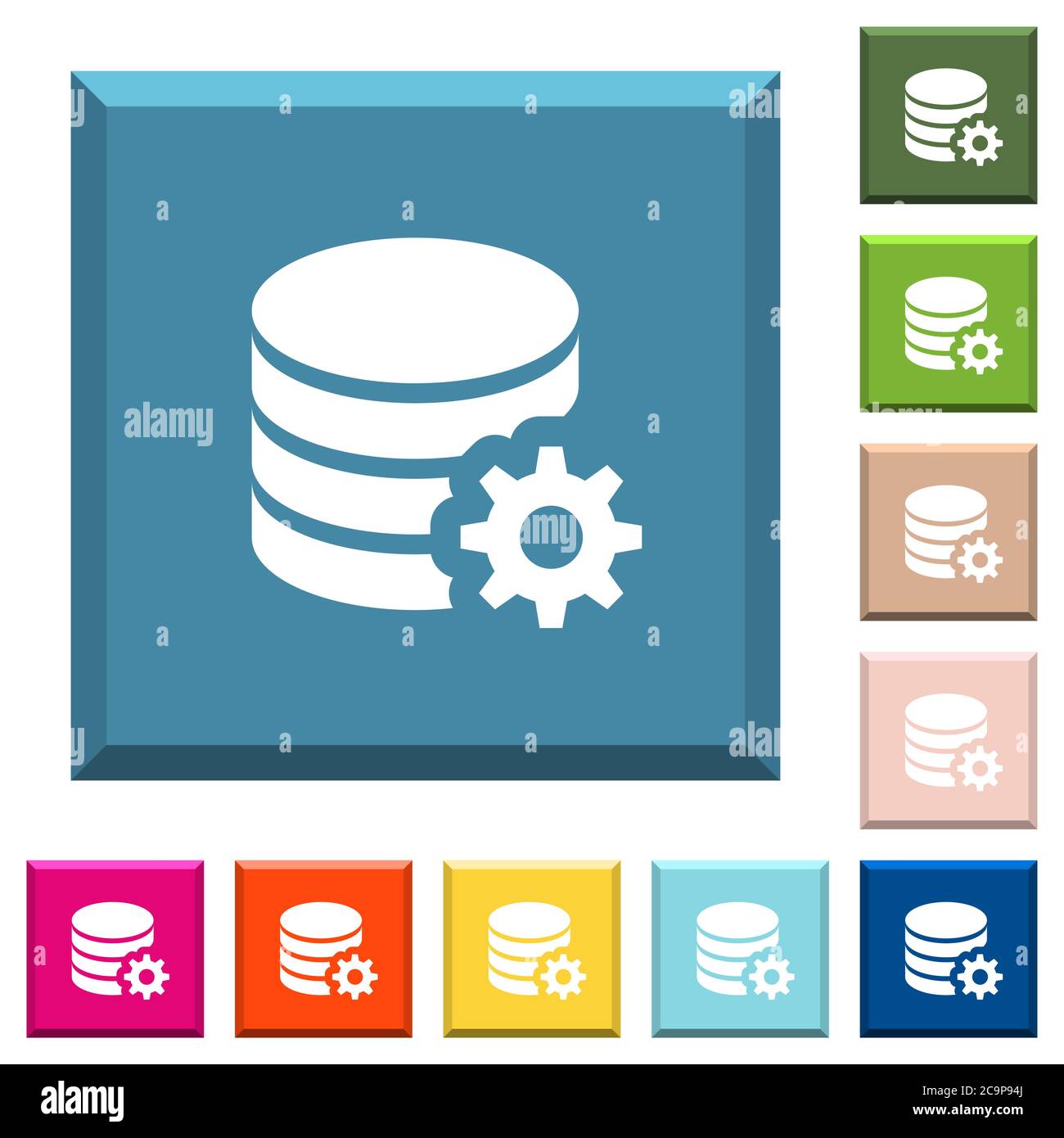 Database configuration white icons on edged square buttons in various ...