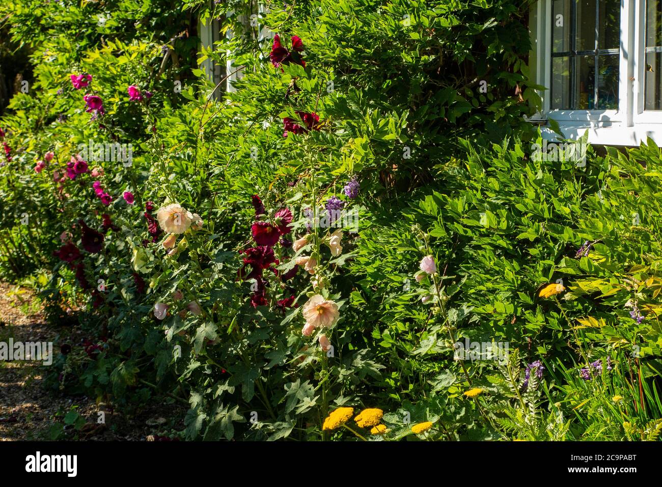 A quintessential English cottage garden Stock Photo - Alamy