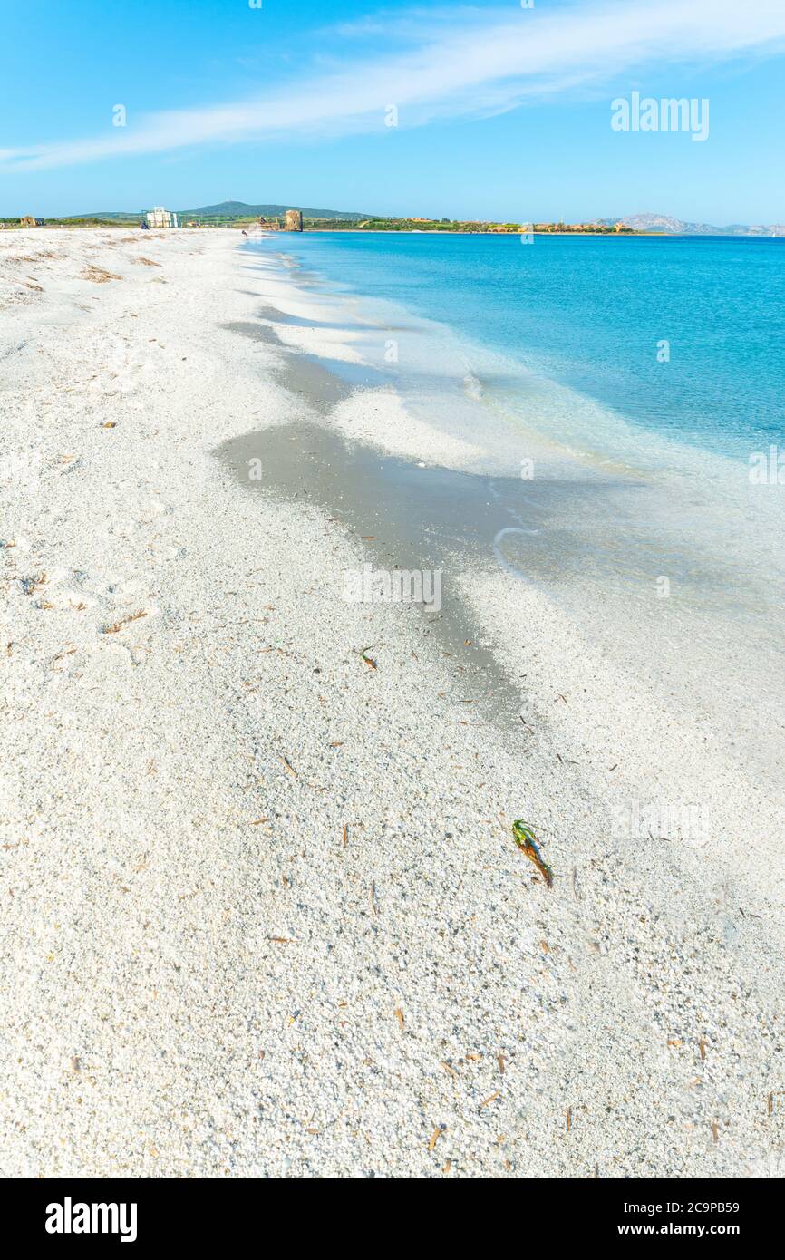 White pebbles in Le Saline beach in Stintino. Sardinia, Italy Stock ...