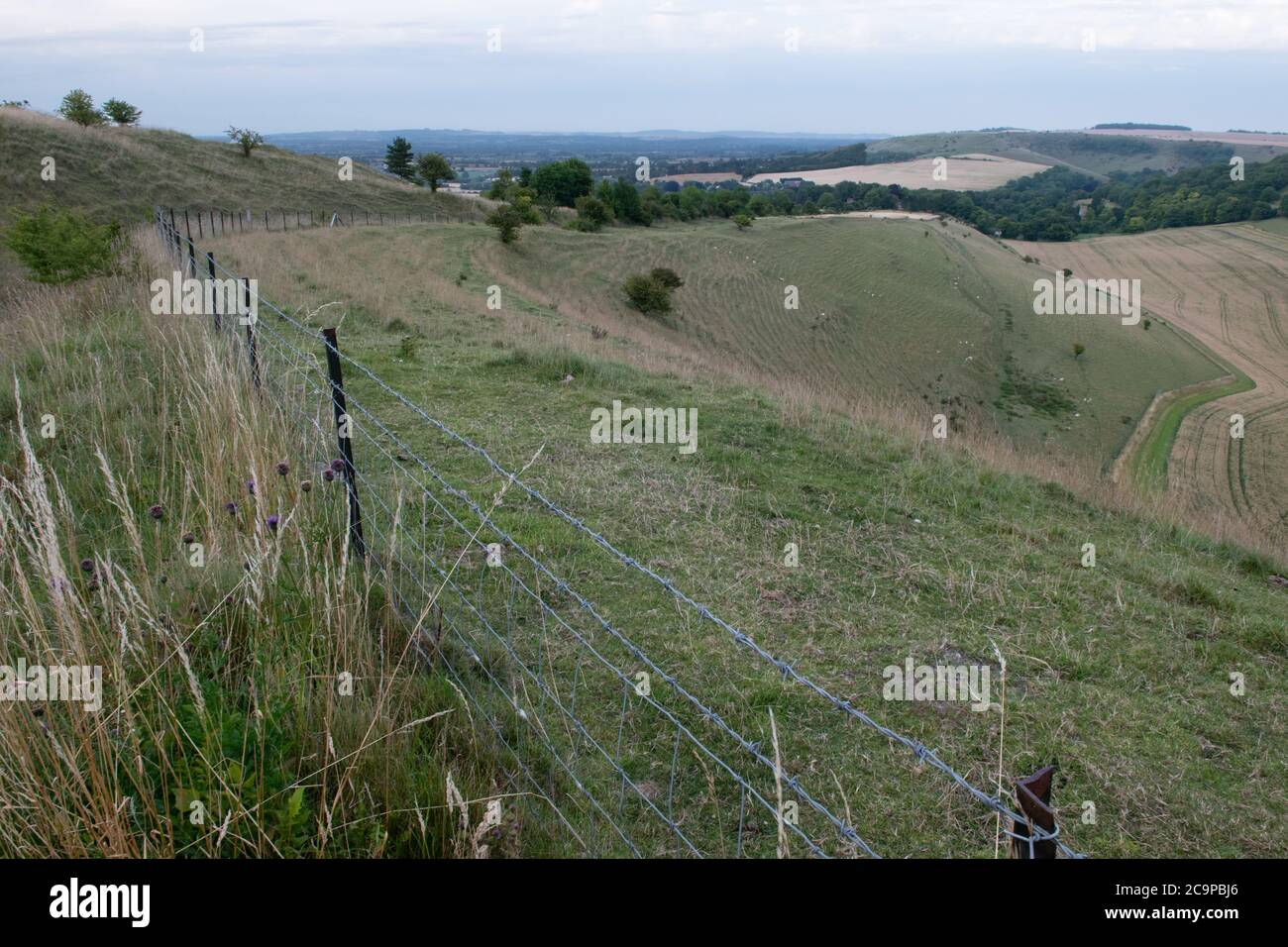Chalk salisbury plain hi-res stock photography and images - Alamy