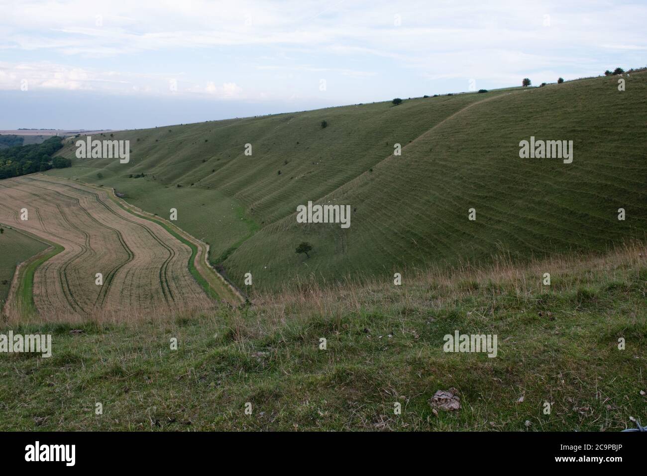 Wiltshire agricultural at salisbury hi-res stock photography and images ...