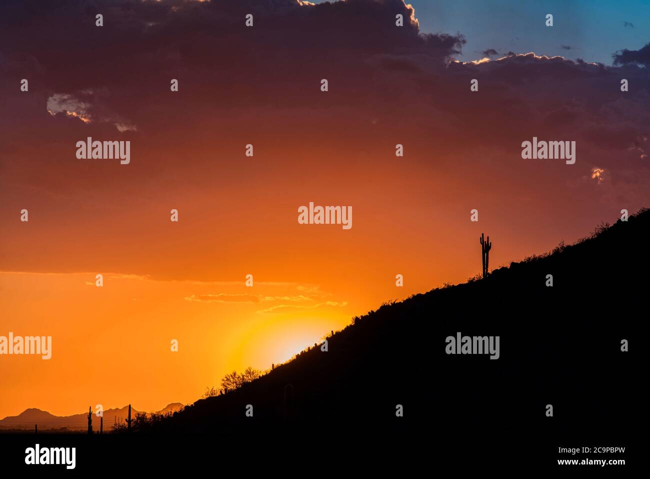 Sunset in the Sonoran Desert near Phoenix, Arizona Stock Photo - Alamy