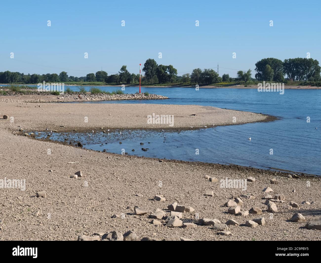 Beautiful nature at Rhine river in Germany Stock Photo - Alamy