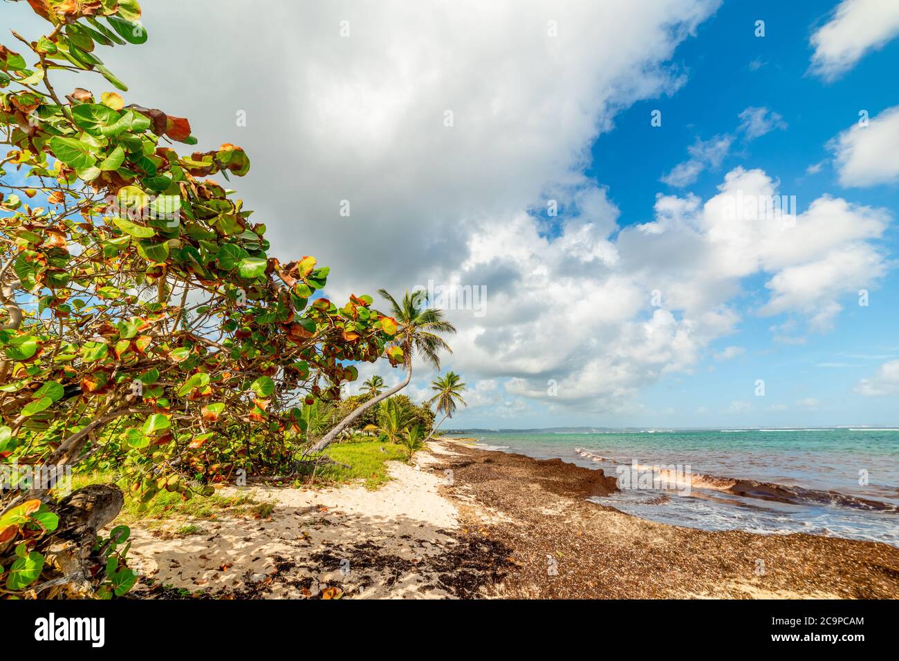 Autre Bord beach under a cloudy sky. Guadeloupe, Caribbean sea Stock ...