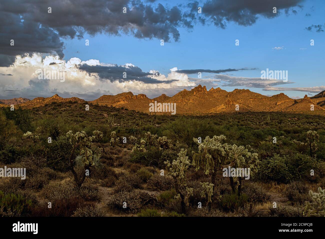 Arizona mountains near phoenix hi-res stock photography and images - Alamy
