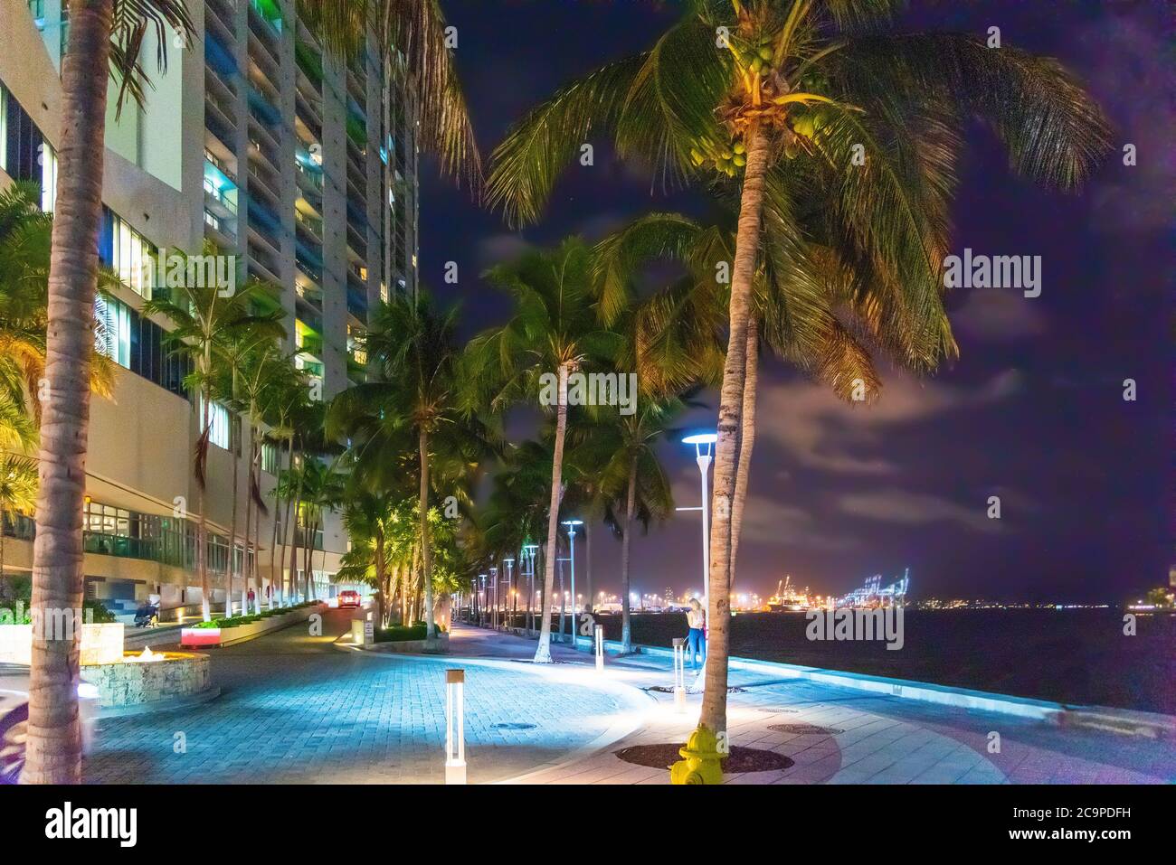 Palm trees and skyscrapers in Miami Riverwalk at night. Southern ...