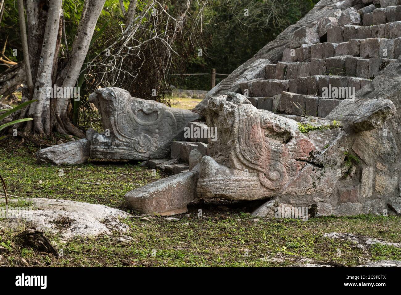 Serpent snake temple stairs hi-res stock photography and images - Alamy