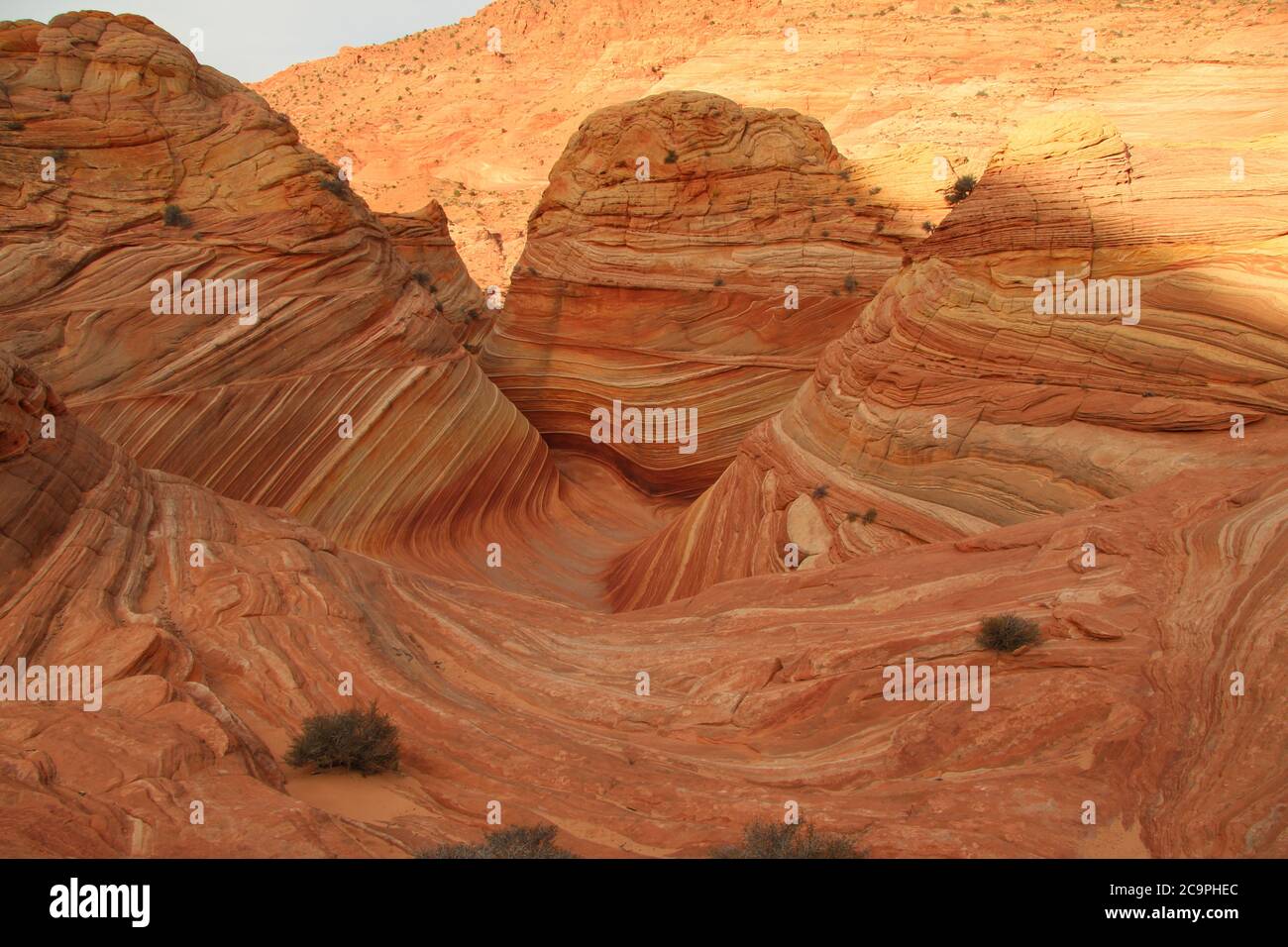 Vermilion colors hi-res stock photography and images - Alamy