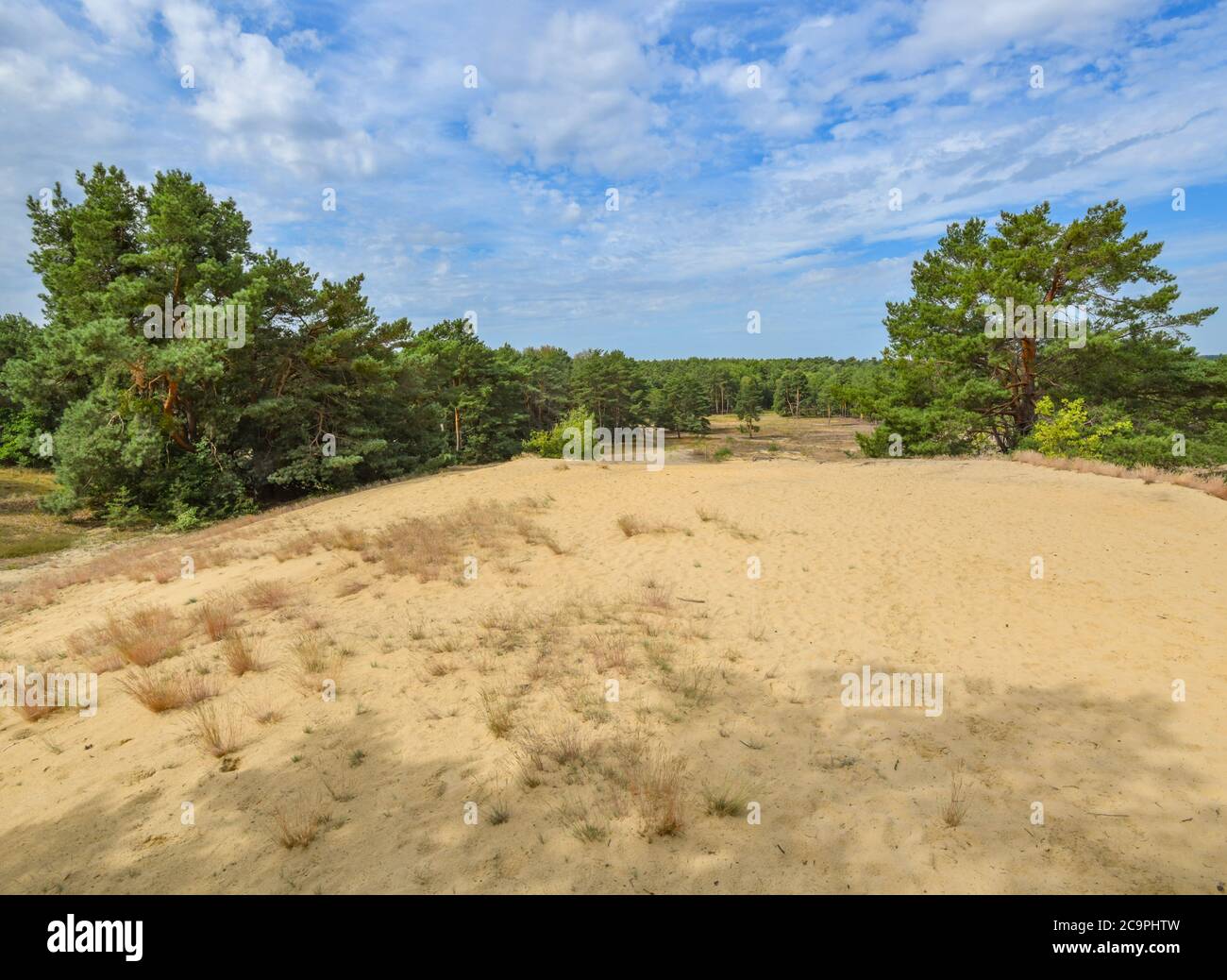 Brandenburg dahme lake area hi-res stock photography and images - Alamy