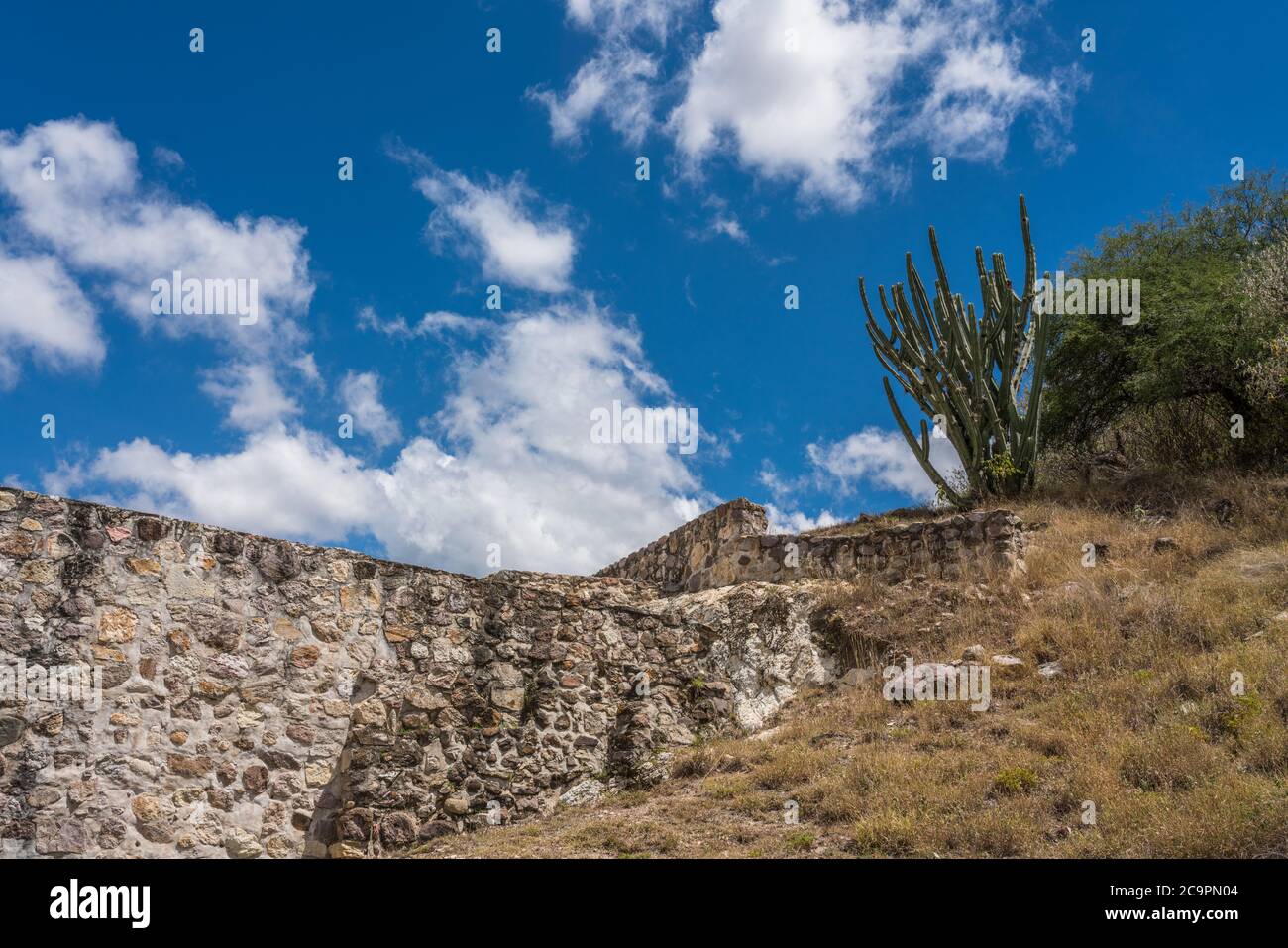 Building A in the ruins of the pre-Hispanic Zapotec city of Dainzu in ...