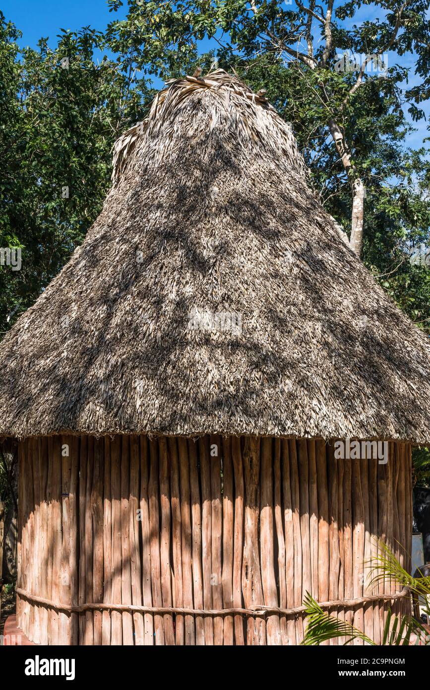 A traditional thatched-roof hut with stick walls for air circulation ...