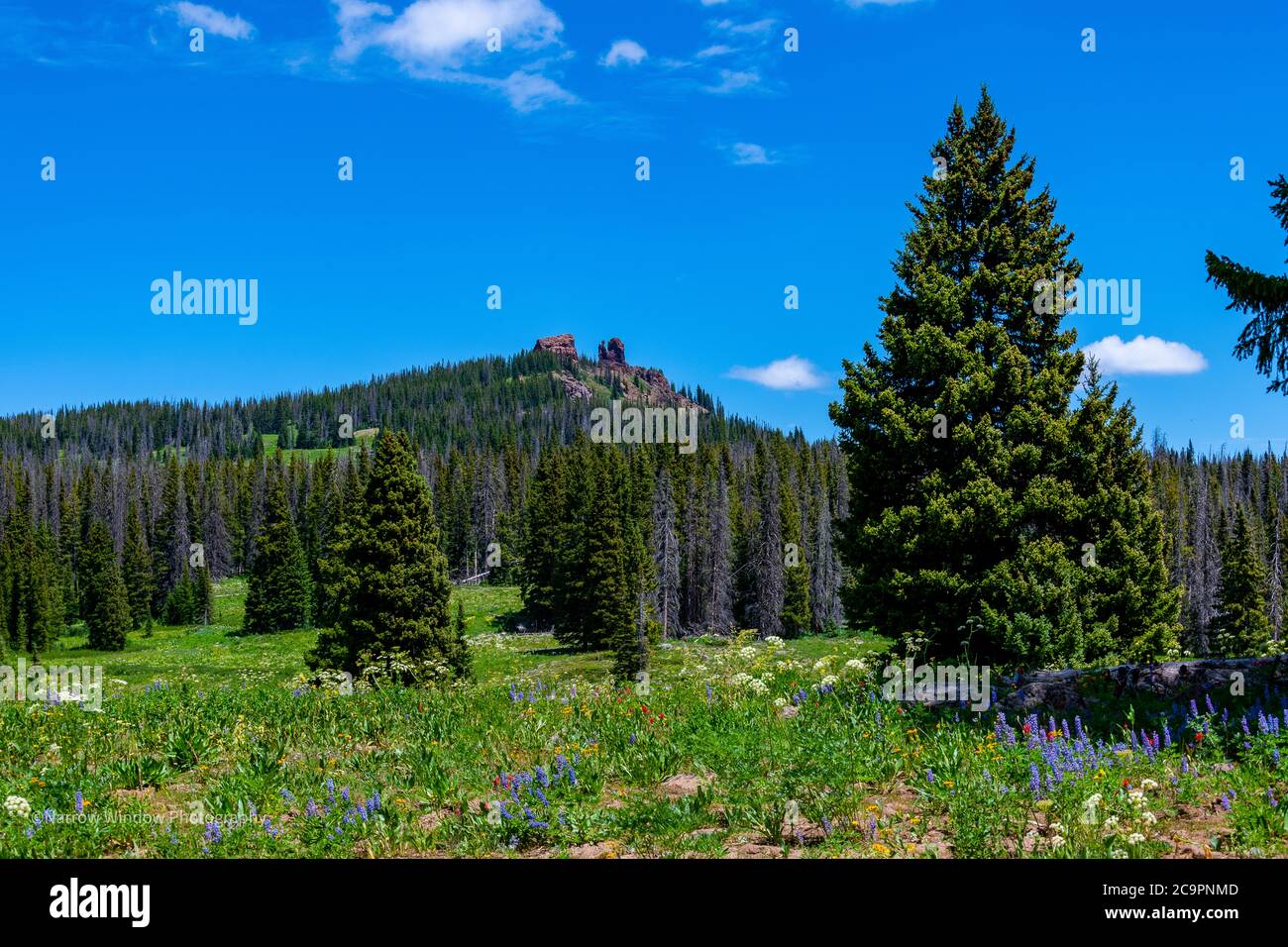 Rabbit ears formation hi-res stock photography and images - Alamy