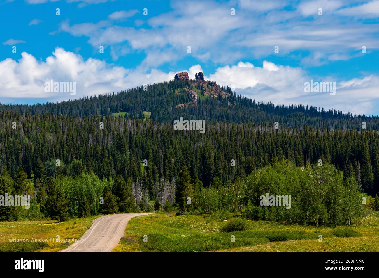 Wildflowers and Rabbit Ears Rock Formation Stock Photo - Alamy