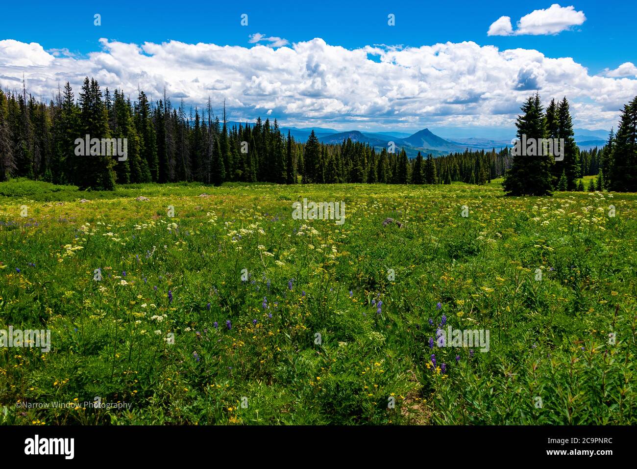 Rabbit ears formation hi-res stock photography and images - Alamy