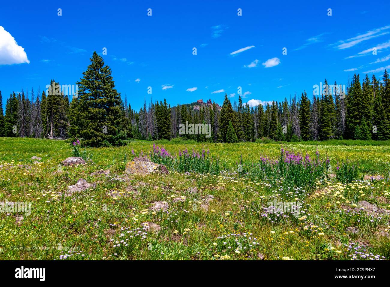 Rabbit ears formation hi-res stock photography and images - Alamy