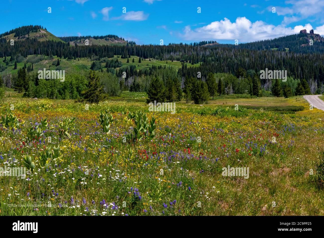 Rabbit ears formation hi-res stock photography and images - Alamy