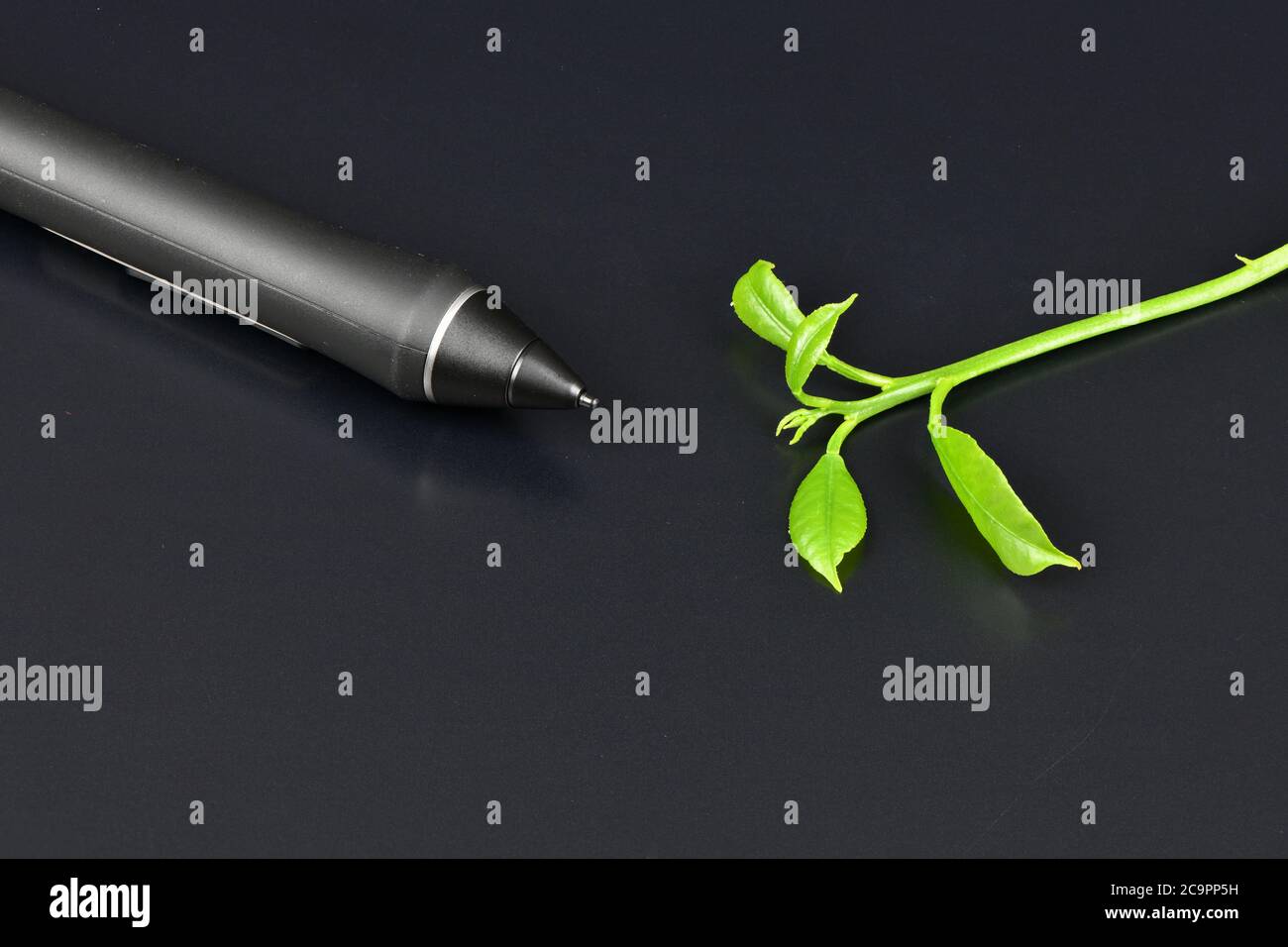 Close-up graphic design digitized pen on tablet background. High ...