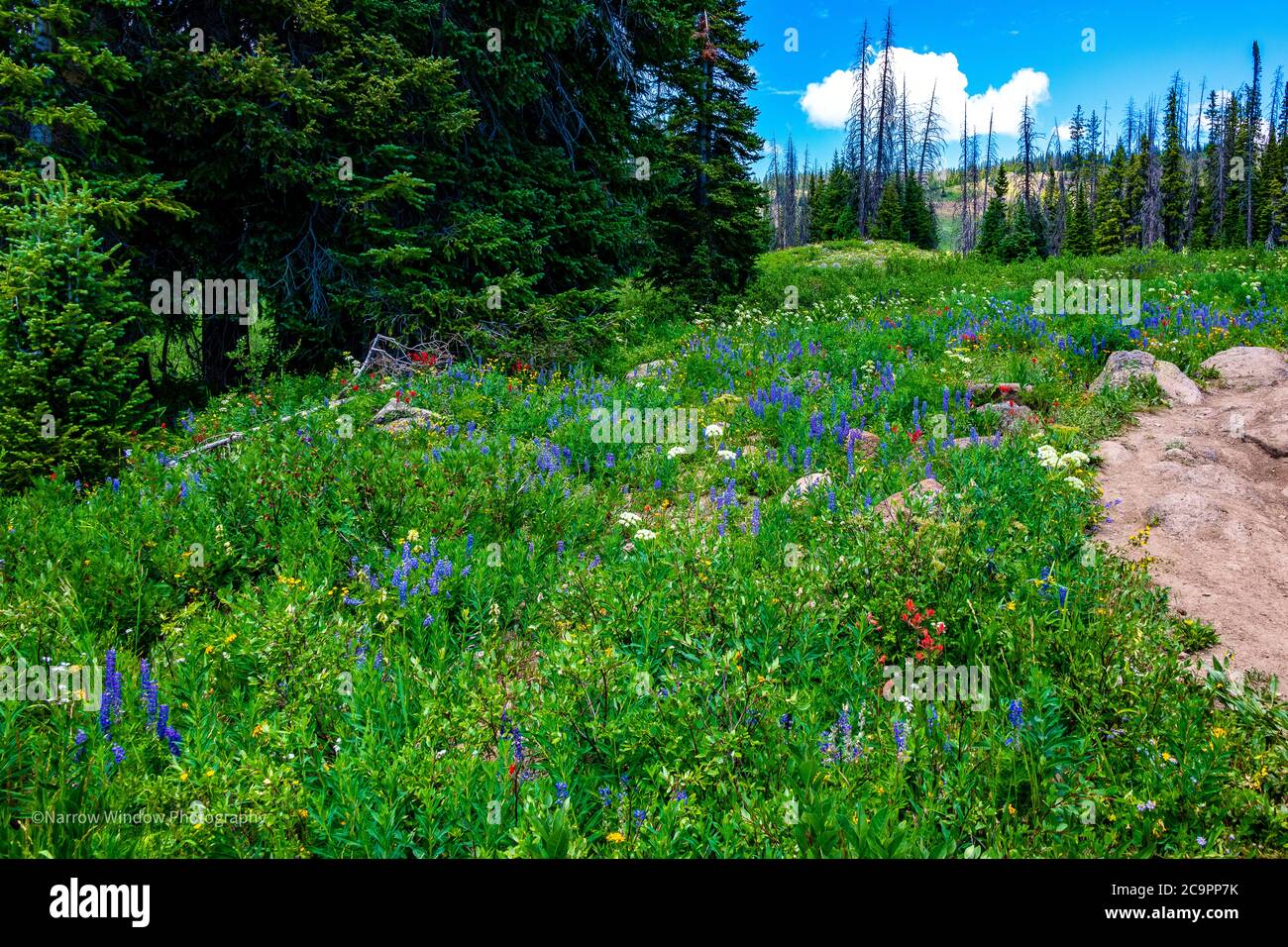 Rabbit Ears Formation High Resolution Stock Photography and Images - Alamy